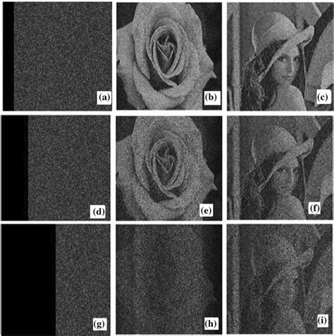 Depicts The Occlusion Attack Of A Encoded Images With 10 Occlusion Download Scientific