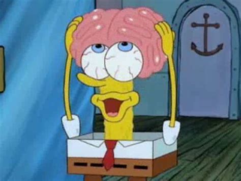 Spongebobs Brain Encyclopedia Spongebobia Fandom Powered By Wikia