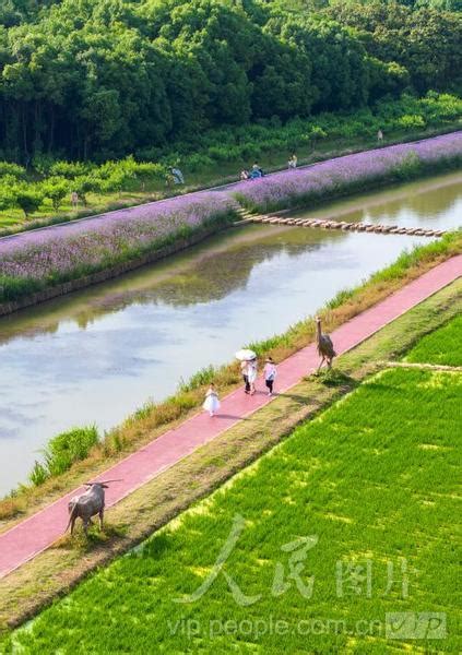 安徽芜湖农文旅融合助振兴 人民图片网