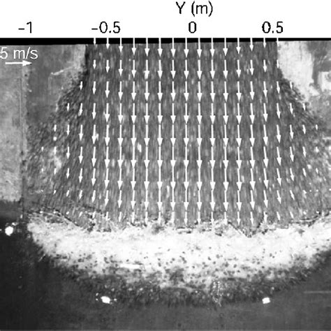 Velocity Vectors Computed With The Cross Correlation Piv Analysis On Download Scientific