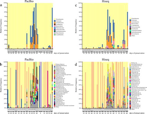 Relative Abundance Plots Of Each Phylum A C And Species B D