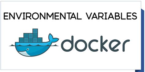 Gaetano Di Russo On Linkedin Docker Environmentvariables