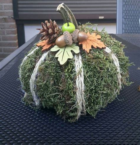 Ідейка Ідейка 💡 Цікаві композиції із моху та інших Facebook