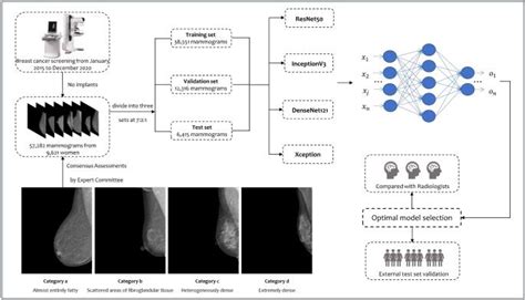 Deep Learning Prediction Of Mammographic Breast Density Using Screening… Chris Lange