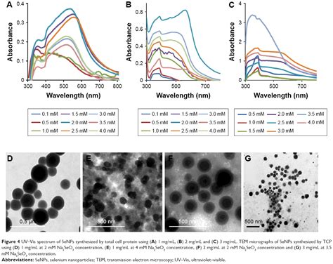 Green Synthesis Of Selenium Nanoparticles Using Acinetobacter Sp Sw30 Ijn