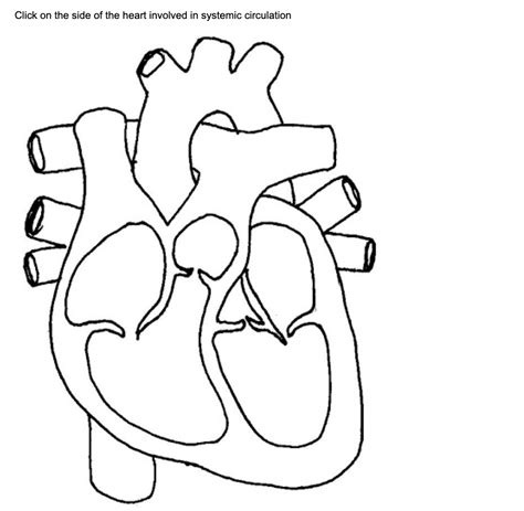 Solved Curve A Curve B You Cannot Tell From The Chegg Com
