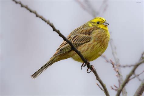 K U R Z F R I S T I G T R ü B E A U S S I C H T E N Foto And Bild