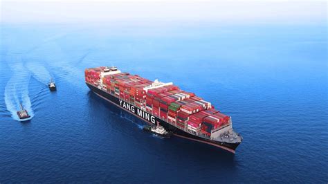 Yang Ming To Order 13 New Container Vessel To Implement Fleet Optimization Plan India Shipping