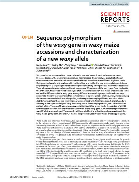 Pdf Sequence Polymorphism Of The Waxy Gene In Waxy Maize Accessions And Characterization Of A