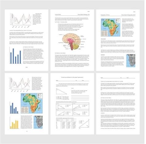 Statistics Project Examples Pdf Guide For Success