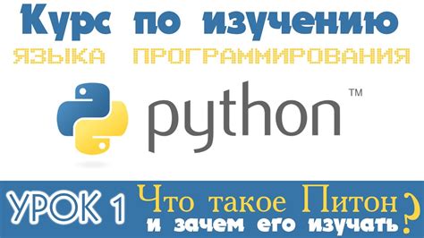 1️⃣ Что такое Питон и зачем его изучать в 2021 году Уроки по