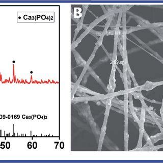 A XRD Pattern Of The Product B TCP Synthesized At 1150 C For 5 Min Download Scientific