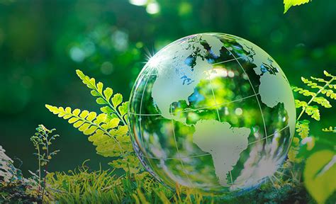 ビジョン2030の重点領域における研究開発の取り組み研究技術開発植物のチカラ 日清オイリオ