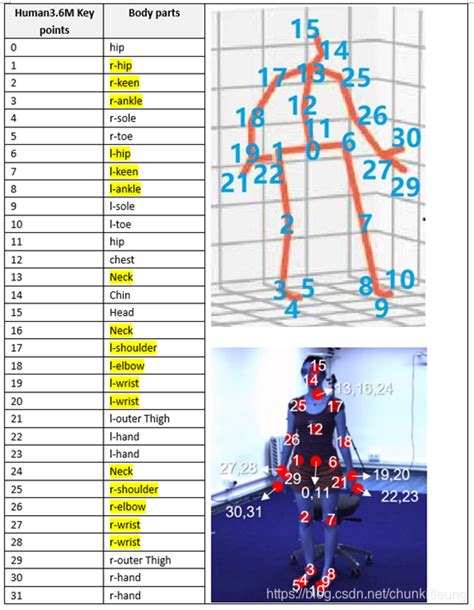 2d人体姿态识别 Human3 6m与coco数据集中，各人体骨骼关键点可视化及对应关节标注顺序（heatmap可视化，热力图和原图融合显示 Csdn博客