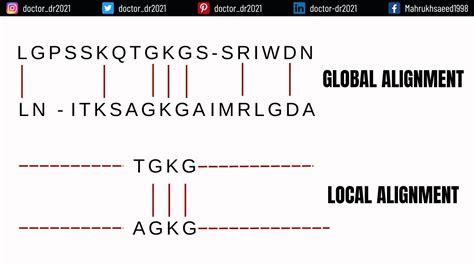 Sequence Alignment Definitions Classification Techniques Applications