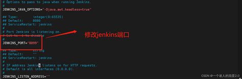 Jenkins的安装搭建（linux）linux安装jenkins Csdn博客