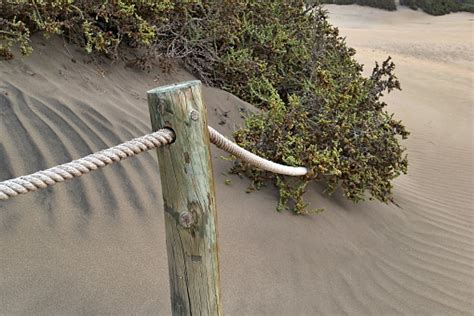 Dunas 드 마스 팔로 마스폭풍에 그 란 카나리아나무 Poles2와 함께 0명에 대한 스톡 사진 및 기타 이미지 0명 곡선 구름 Istock