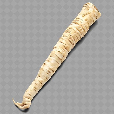 Premium Psd A Root Of A Root Vegetable Is Laying On A Table