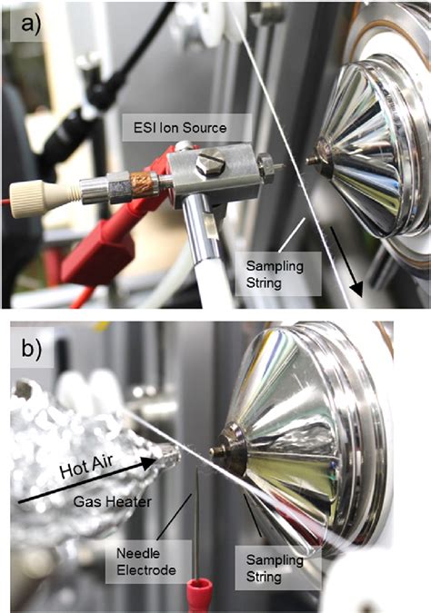 Ion Sources Used For The Extraction And Ionization For The Sample Download Scientific Diagram