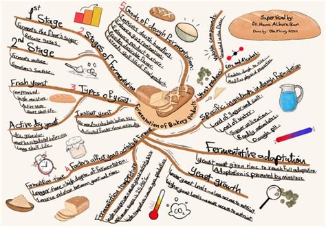 Fermentation Of Bakery Products Mind Map Ppt