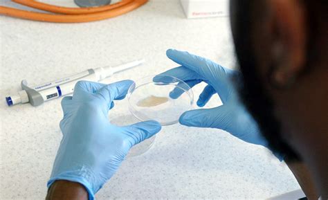 Ongoing Improvements To Meat And Poultry Safety Food Safety