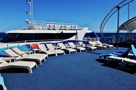 그레이트배리어리프 스노클링과 헬기투어 실속 콤보 줌줌투어 호주 케언즈