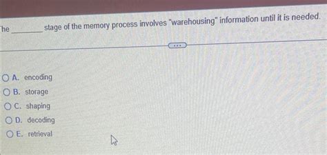 Solved Analogous To A Computer Memory Is Working Memory It