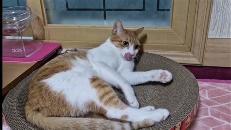 하루의 여유로움😘아이들과의 즐거운 시간 😆노는날은 시간이 왜 이리 짧은걸까요🤣🤣 Youtube