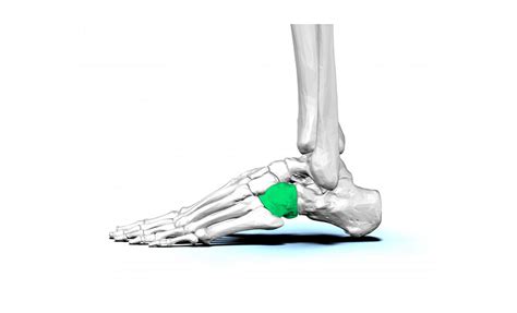 Cuboid Dysfunction View Podiatrist