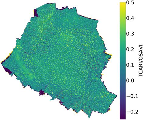 The Chlorophyll A Top B Middle And Tcari Osavi Index Bottom Download Scientific Diagram