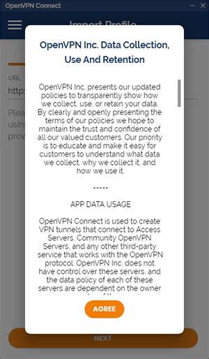 How To Set Up OpenVPN Connect On Windows CactusVPN