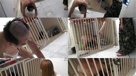 Slave Endures Endless Caning Punishment Ymd 085b Full Version High Resolution Avi Format