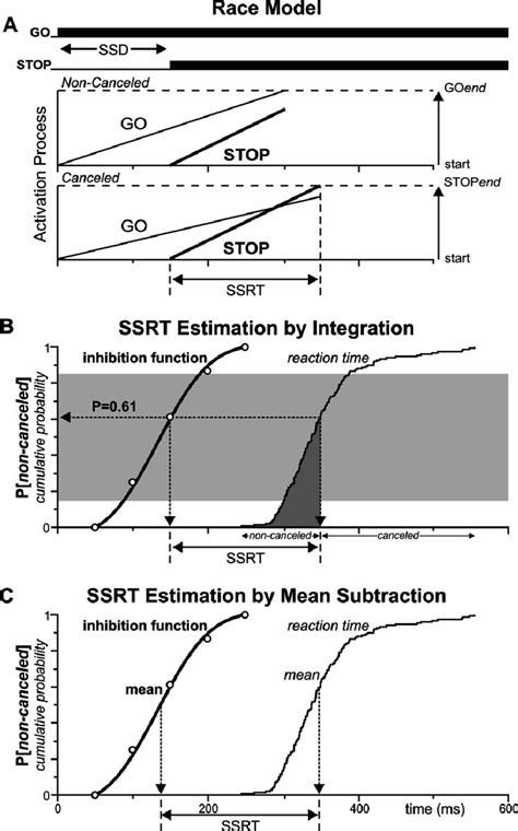 A Schematic Of The Countermanding Paradigms Behavioral Task And Race