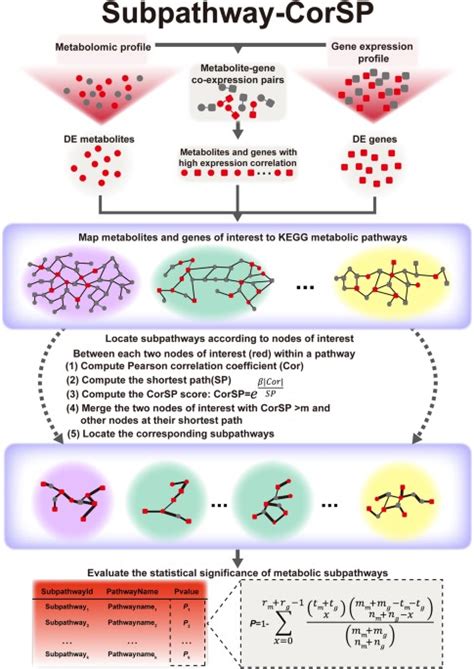 Subpathway Corsp Identification Of Metabolic Subpathways Via