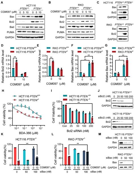 Mdm2 Inhibition Is Synthetic Lethal With Pten Loss In Colorectal Cancer Cells Via The P53
