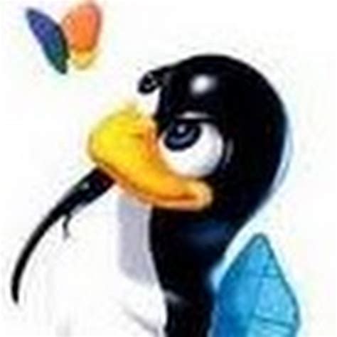 Armghan Shahid Youtube