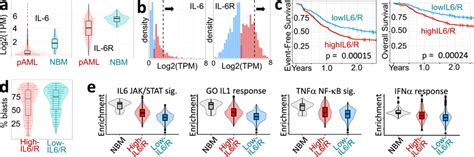 Pediatric Aml Diagnostic Samples With Higher Il 6 Or Il 6r Expression Download Scientific