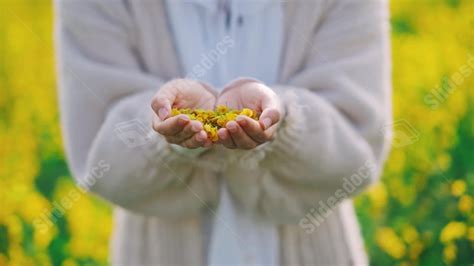 Character Spring Girl Nature Flower Tour Babegirl Scenery People Powerpoint Background For