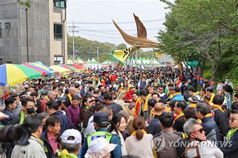 당진 기지시 줄다리기 축제 줄 나가기 연합뉴스