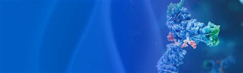 Adc Series Wuxi Apptec Dmpk