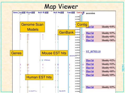 Ppt Gene Prediction And Annotation Techniques Basics Powerpoint Presentation Id 152269