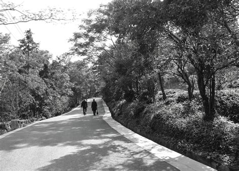 Old Man Woman Love Free Photo On Pixabay Pixabay