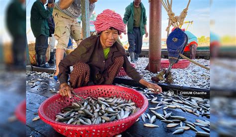 ត្រីត្រូវលើកទី២ ត្រី«រៀលសម្បូរ ហើយធូរថ្លៃជាងឆ្នាំមុន