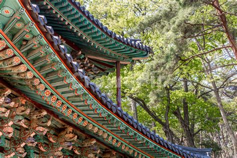 기와 단청 처마 전통 한국의미 사진 이미지 일러스트 캘리그라피 봉구58작가
