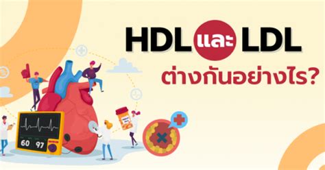 Hdl และ Ldl ต่างกันอย่างไร โรงพยาบาลเชียงใหม่ ฮอสพิทอล โทร 053