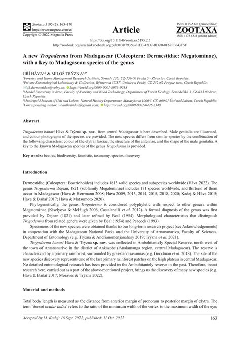 Pdf A New Trogoderma From Madagascar Coleoptera Dermestidae Megatominae With A Key To