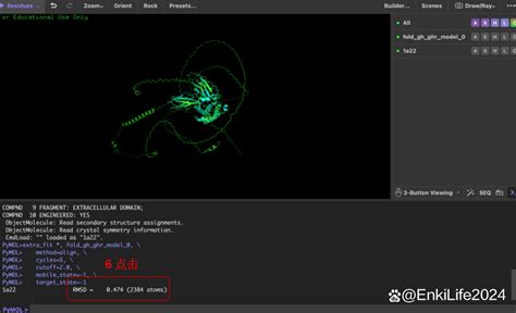 Alphafold预测结果不会分析?看pymol分析alphafold3结果有多香 Alphafold预测结果不会分析?看pymol分析alphafold3结果有多香