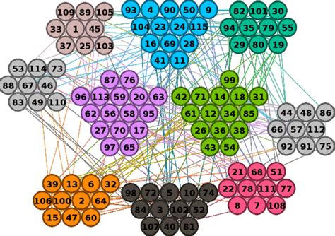 The Obtained Community Structure By Nsga Iii Ccm With Highest
