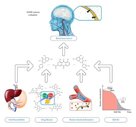 adme systems evaluation model download scientific diagram