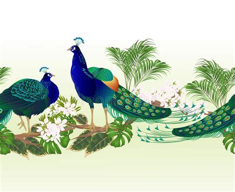 Border Seamless Background Peacocks Beauty Exotic Birds And Tropical